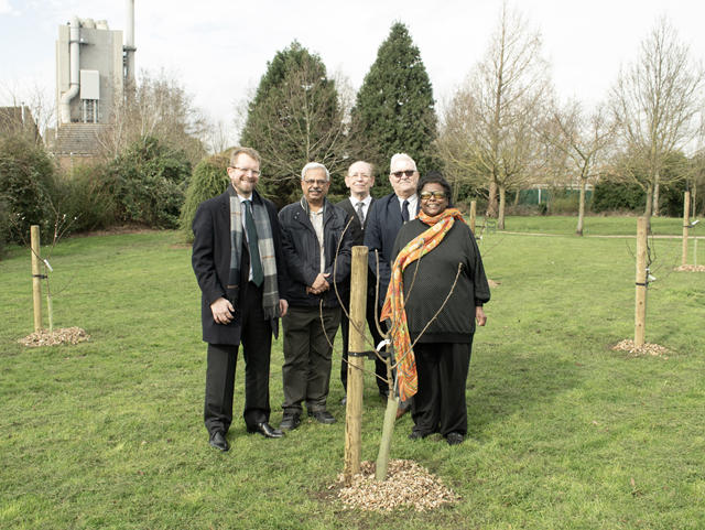 New orchard promises to bear fruit for New Bilton - Rugby Borough Council New orchard promises to bear fruit for New Bilton - Rugby Borough Council
