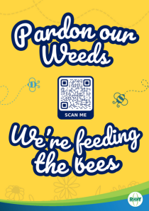 RugBEE - we're pollinator friendly - Rugby Borough Council
