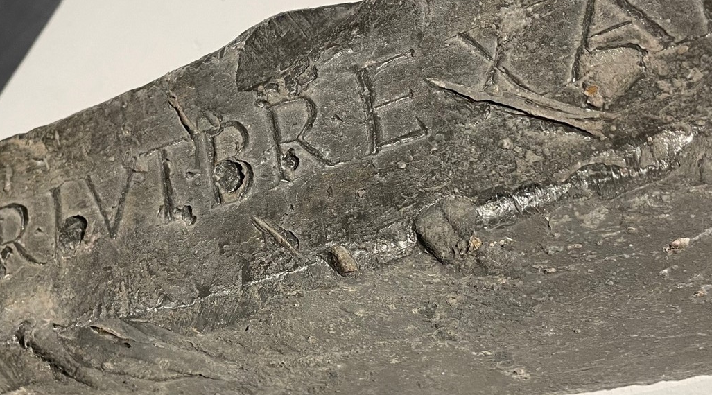 Interior Designs Roman Style - Rugby Art Gallery & Museum - Rugby ...